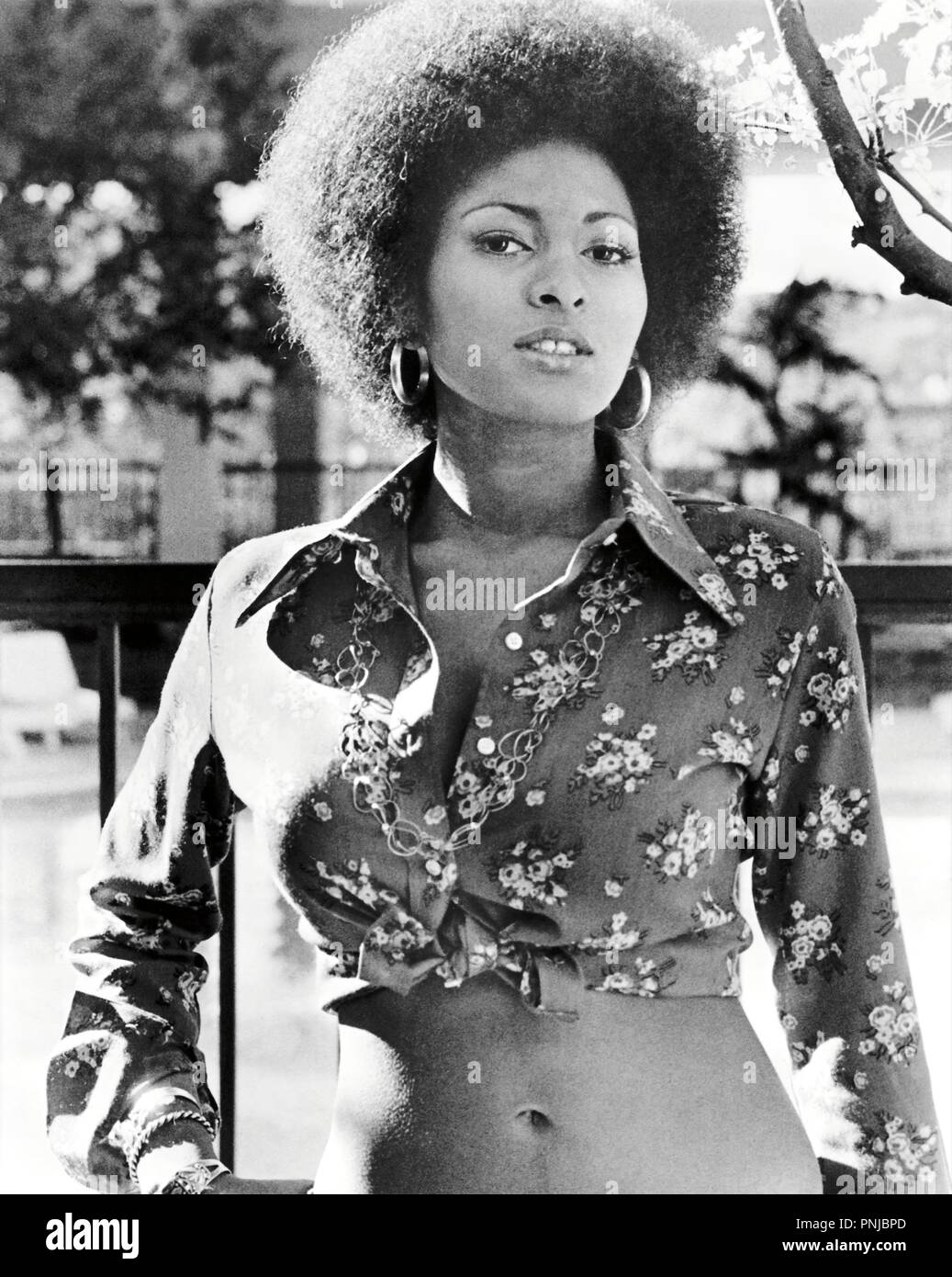 Pam grier afro hi-res stock photography and images - Alamy