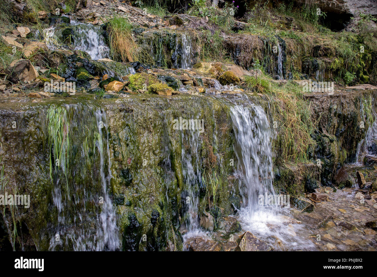 Millennial cold forest creeks, little waterfalls over the rocks with ...