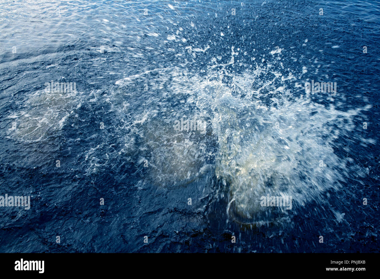 Diver entering the water with big splash and bubbles between light ...