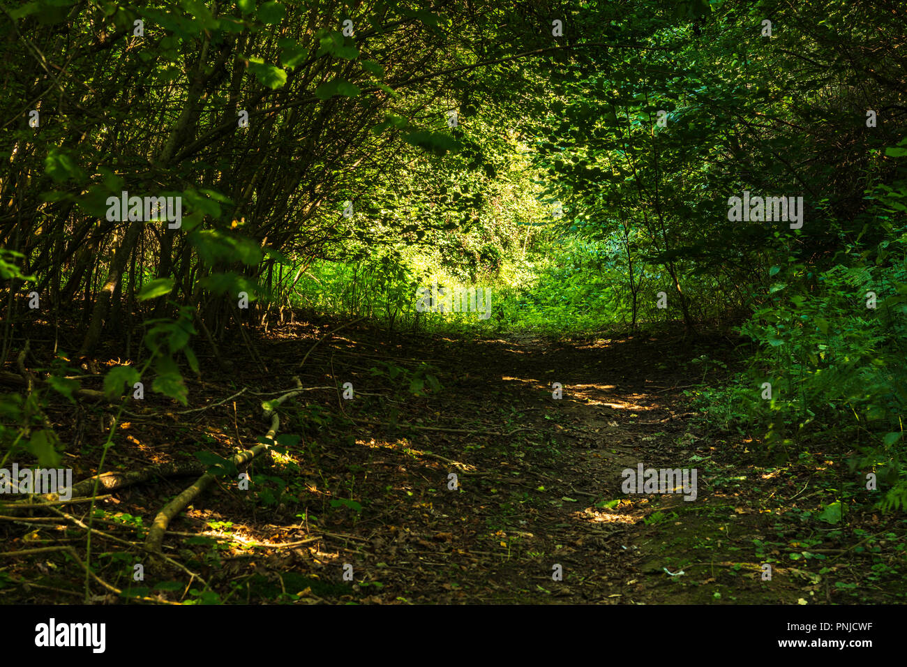 Icklesham hi-res stock photography and images - Alamy