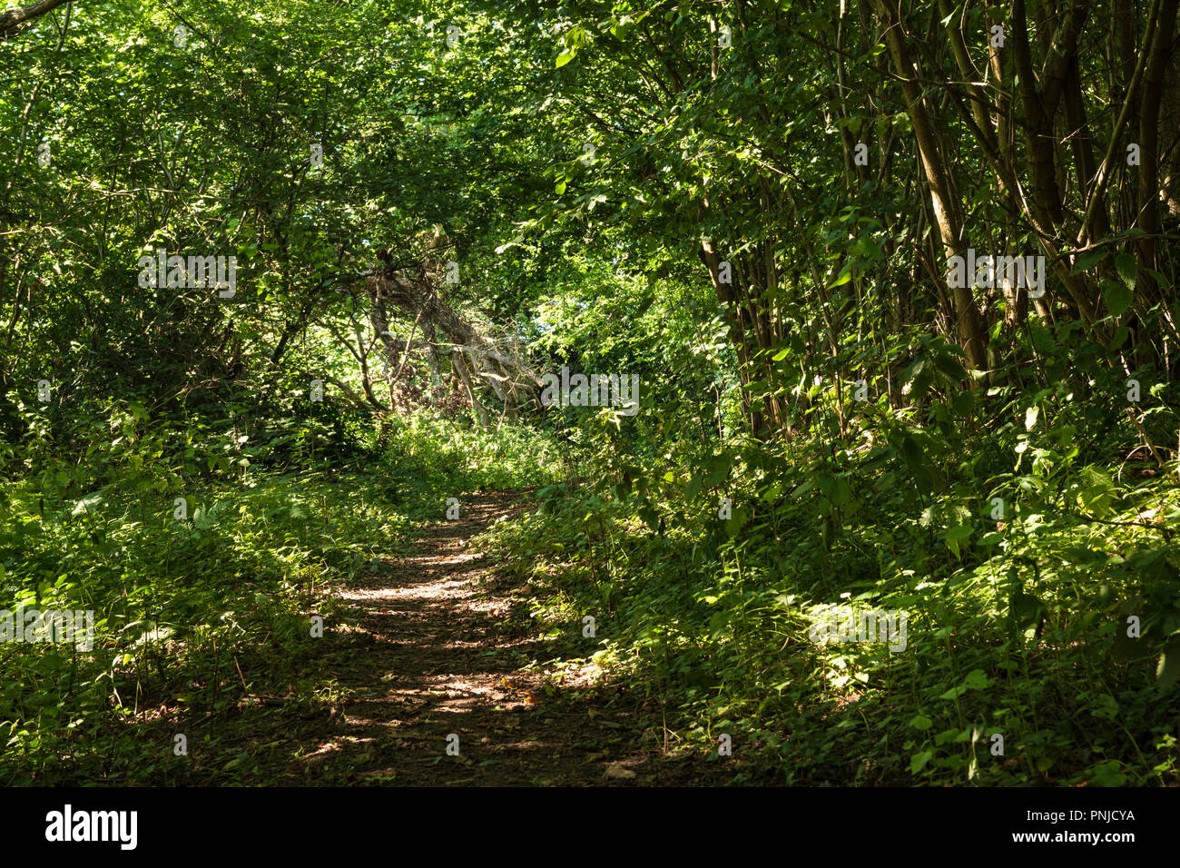 Icklesham hi-res stock photography and images - Alamy