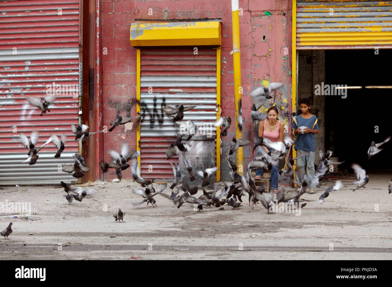 Original film title: CHOP SHOP. English title: CHOP SHOP. Year: 2007 ...