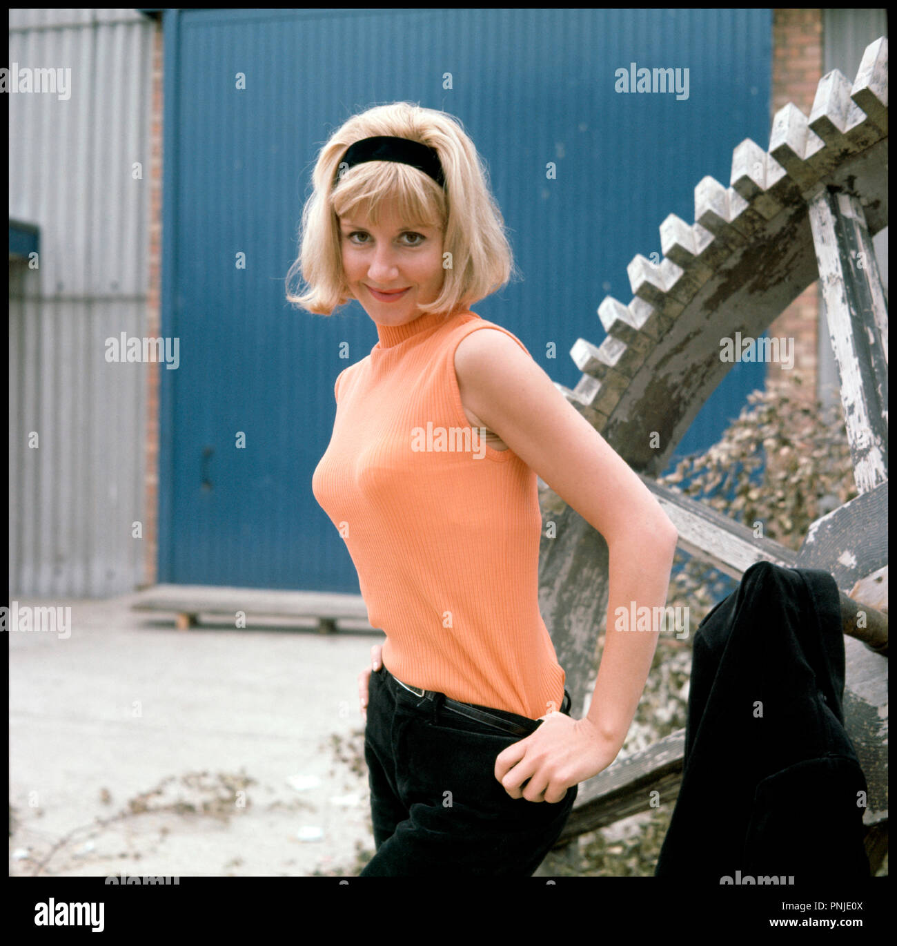 Diane Clare Stock Photos & Diane Clare Stock Images - Alamy