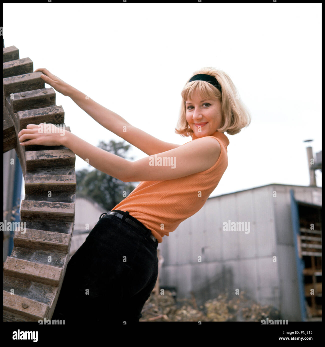 Diane Clare Stock Photos & Diane Clare Stock Images - Alamy