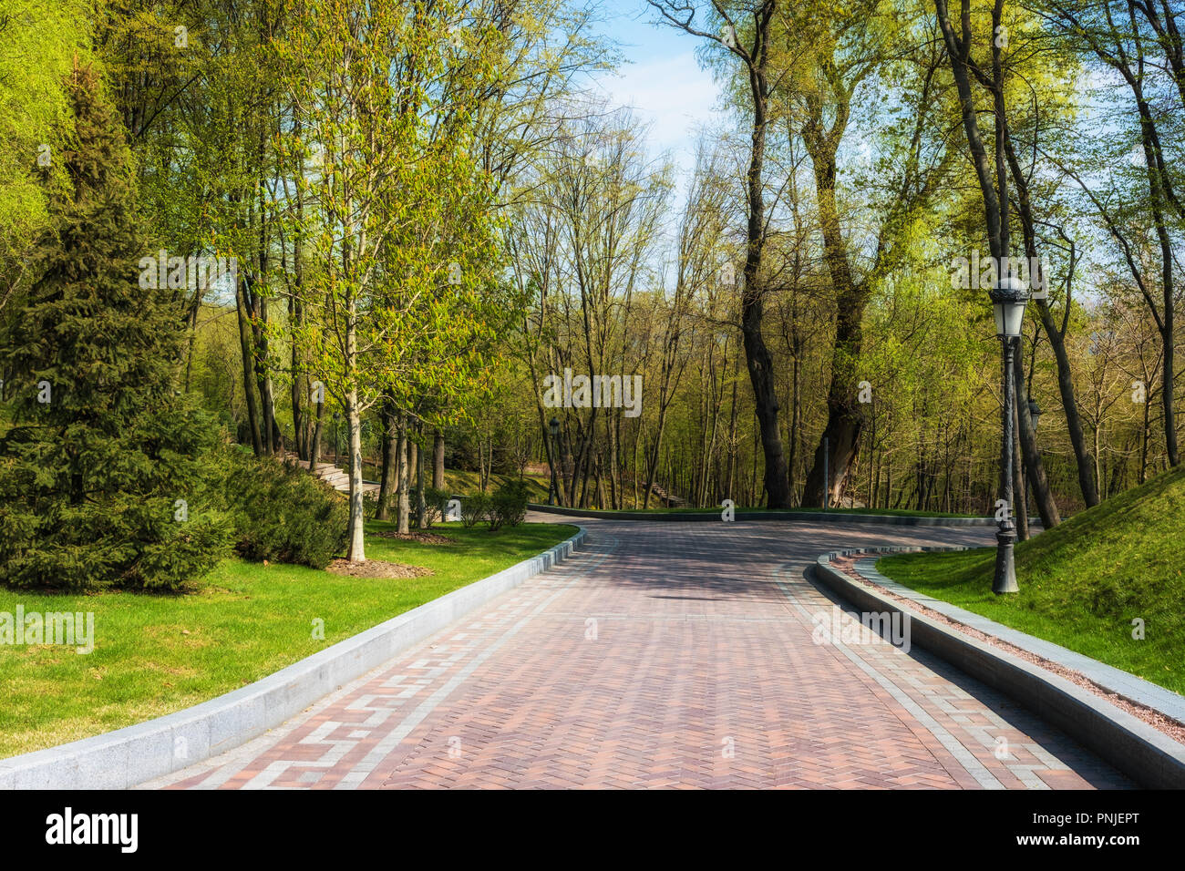 Green spring sunny city park with road and beautiful trees alley Stock ...