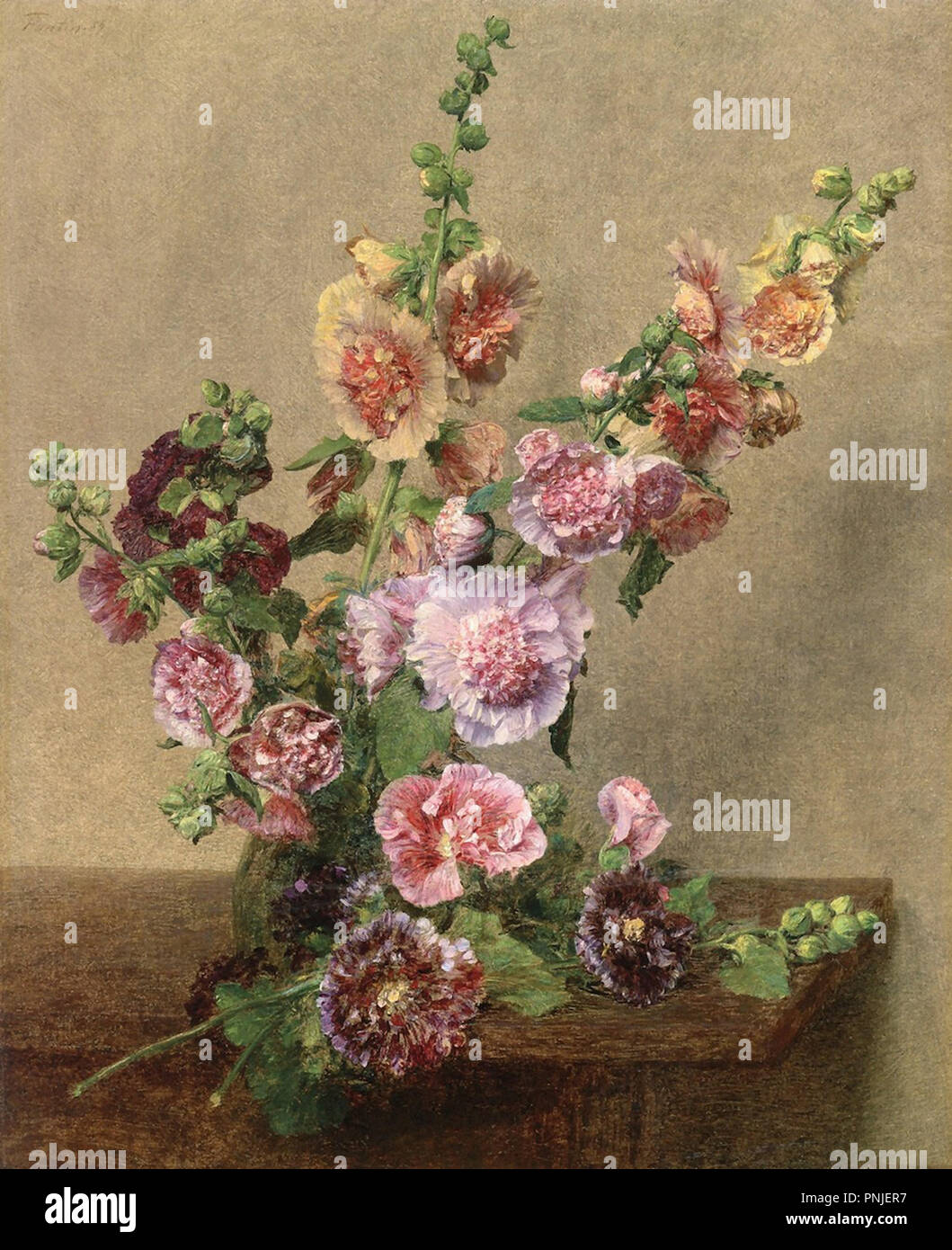 Holly hocks hi-res stock photography and images - Alamy