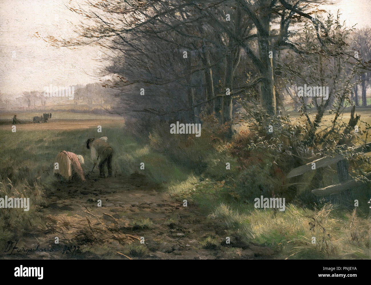 David fields hi-res stock photography and images - Alamy