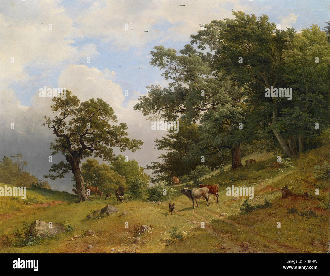 Feid josef hi-res stock photography and images - Alamy