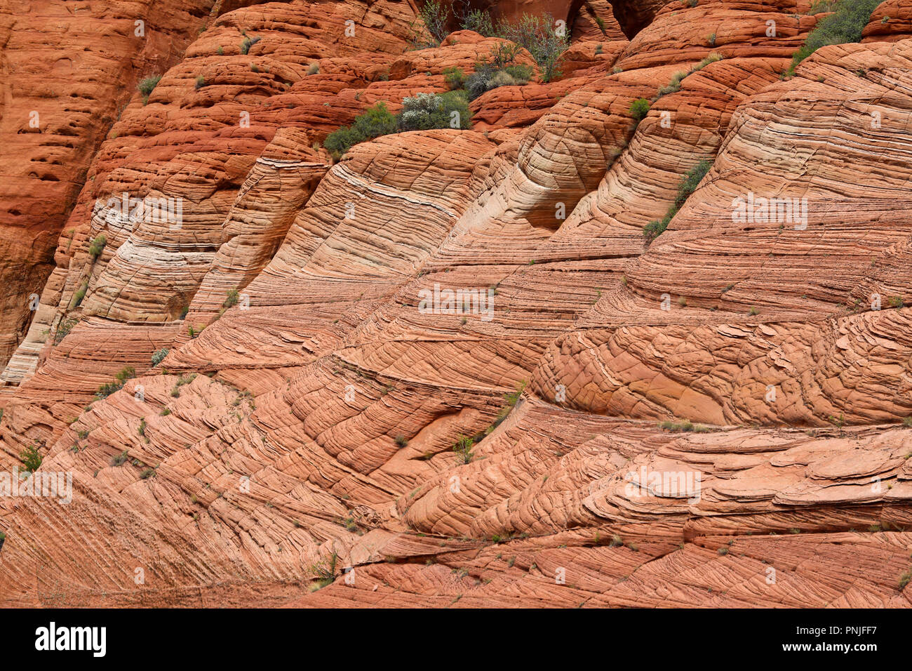 Red sandstone texture hi-res stock photography and images - Alamy