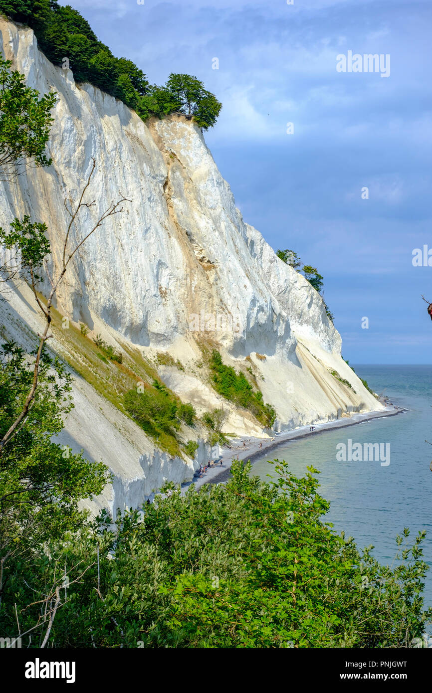 Moens Klint, the white cliffs of Moen, Moen Island, Denmark ...