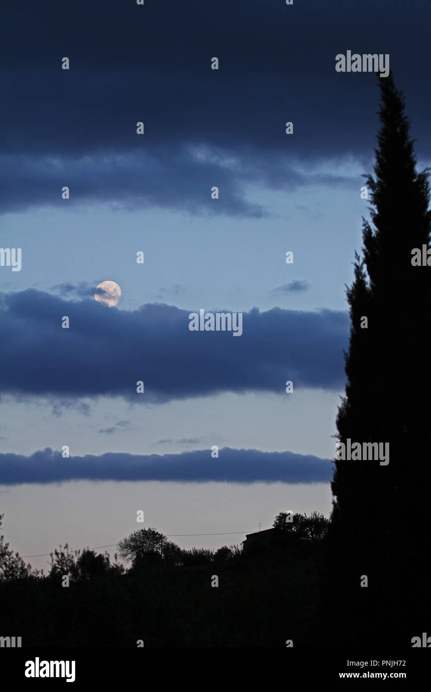 the moon shining through the clouds with a silhouette of a cypress tree ...