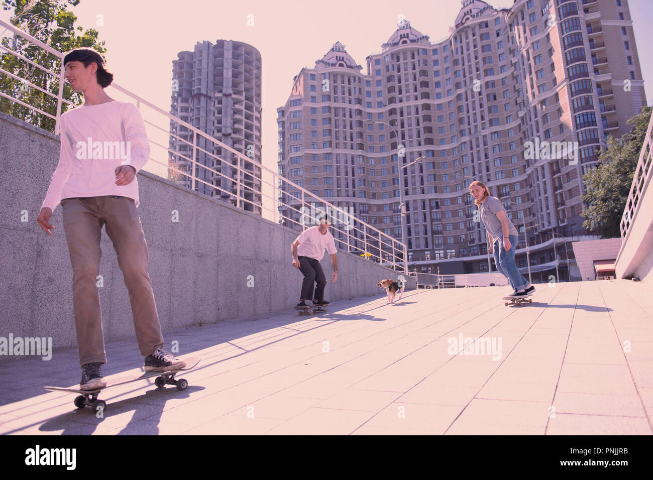 Positive delighted brunette man standing on his skateboard Stock Photo ...
