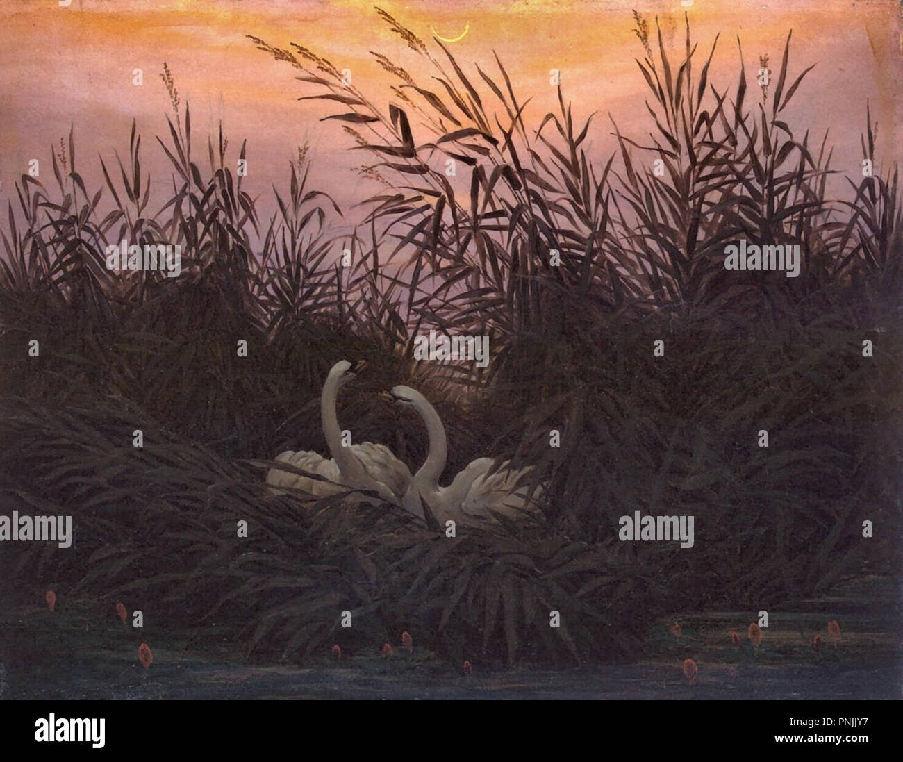 Friedrich Caspar David - Swans in the Reeds Stock Photo - Alamy