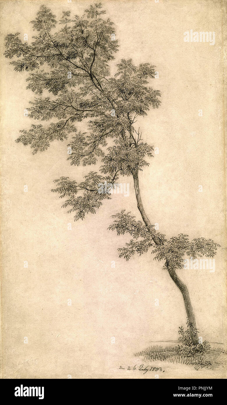 Friedrich Caspar David - Tree Stock Photo - Alamy