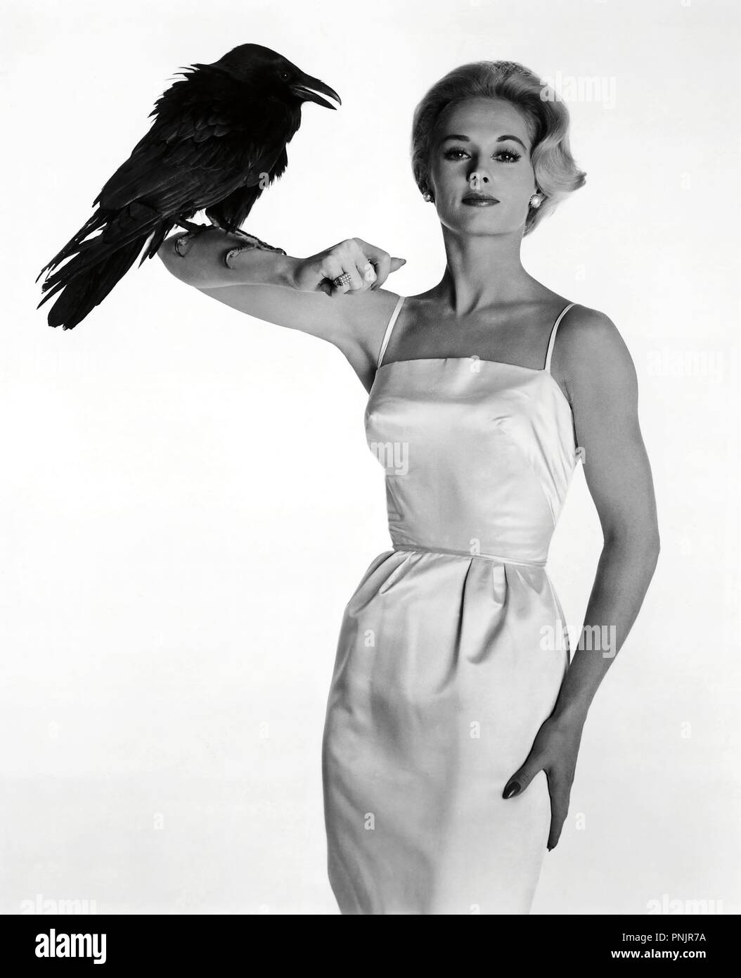 Original film title: THE BIRDS. English title: THE BIRDS. Year: 1963 ...