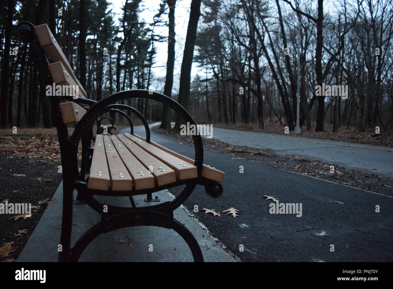 Fall trees in nyc hi-res stock photography and images - Alamy