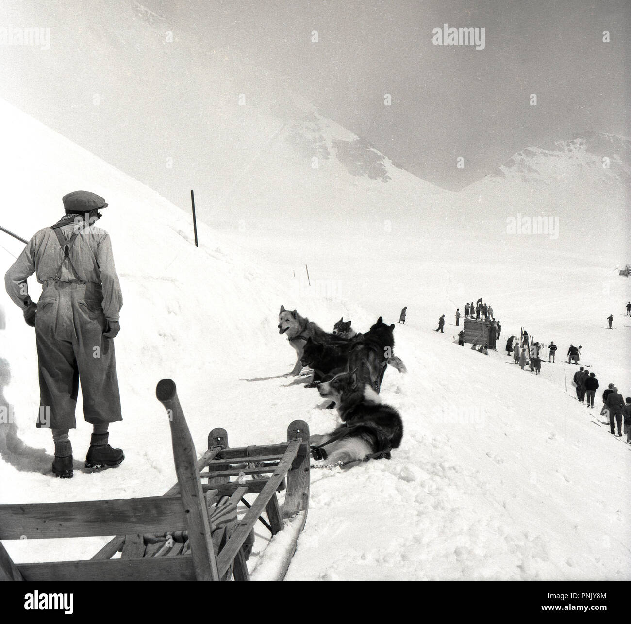 1950s man and a dog hi-res stock photography and images - Alamy