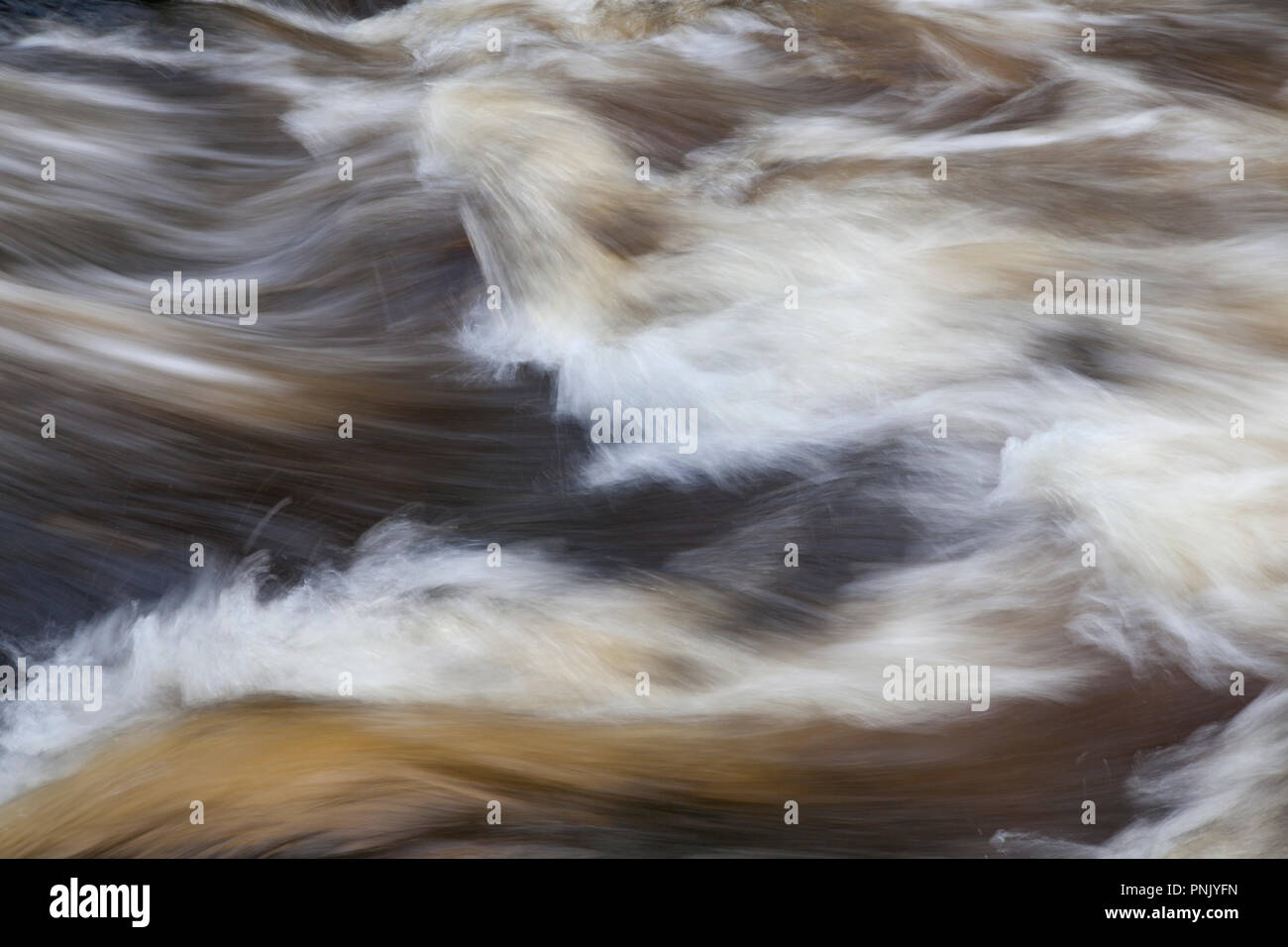 Fast flowing water at the Strid, Strid Wood, Bolton Abbey, North ...