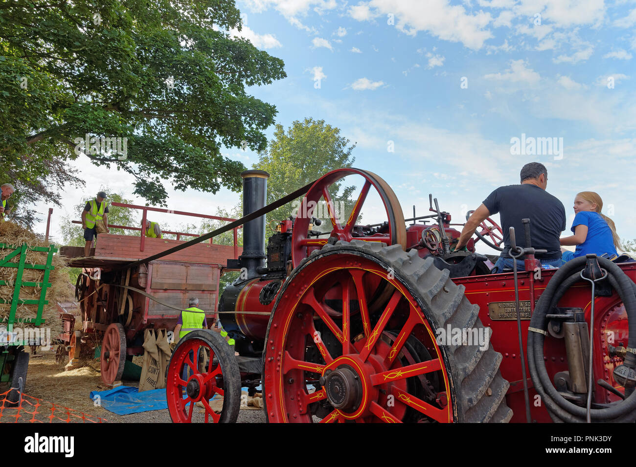A vintage threshing machine at work, powered by a 1915 traction engine ...