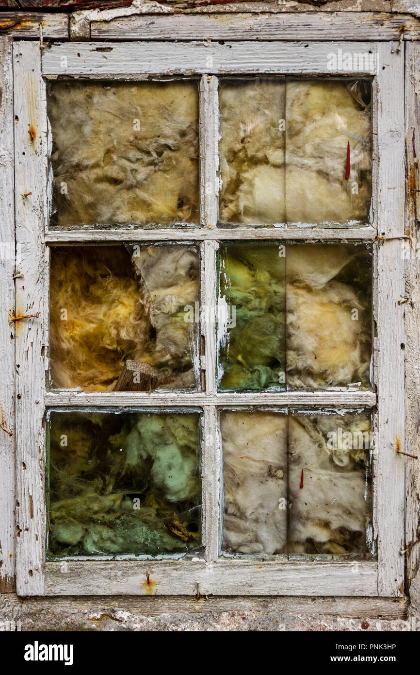 Insulation behind an old broken window Stock Photo - Alamy