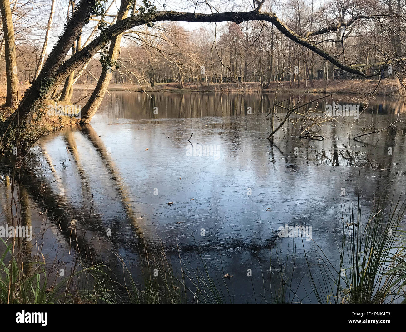 Natur berlin hi-res stock photography and images - Alamy
