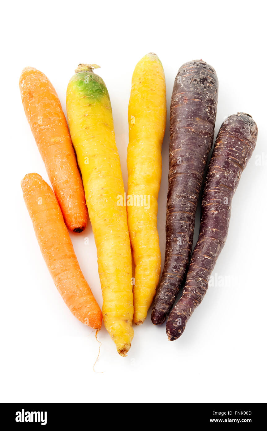Mixed carrots on a white background Stock Photo - Alamy