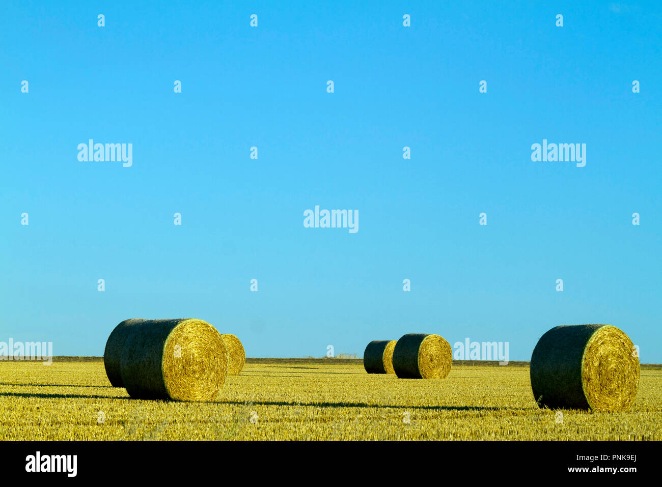 bundles of straw in the countryside Stock Photo - Alamy