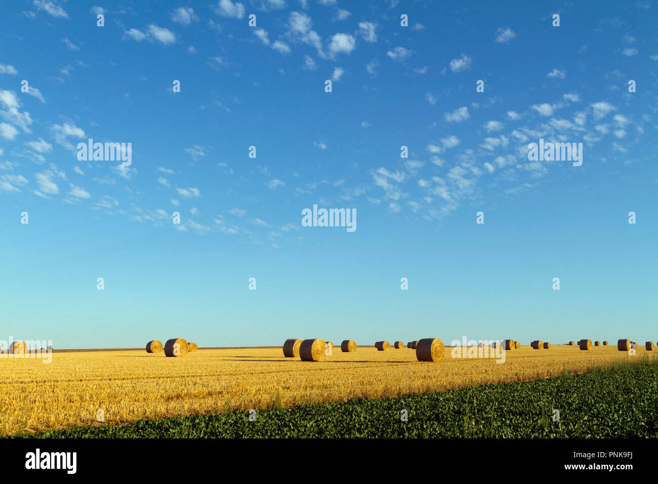 bundles of straw in the countryside Stock Photo - Alamy