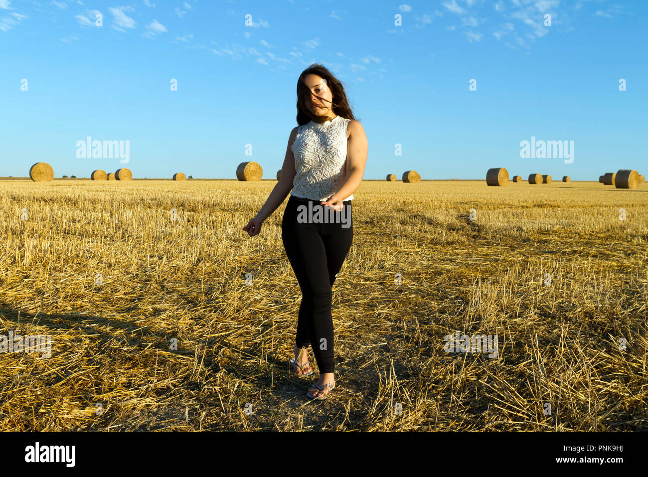 bundles of straw in the countryside Stock Photo - Alamy