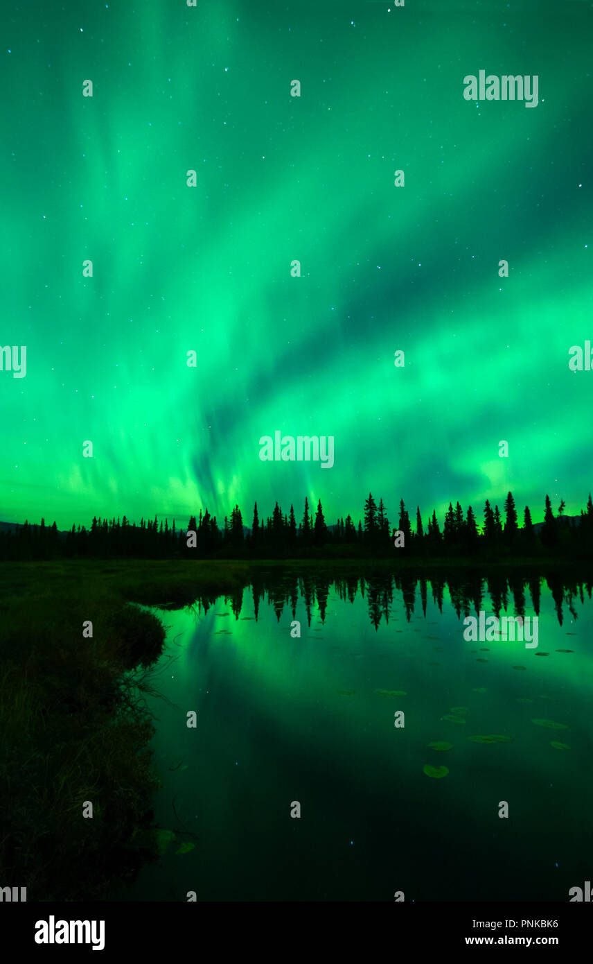 Aurora Borealis, northern lights, Tonglen Lake, Reflection, Alaska ...