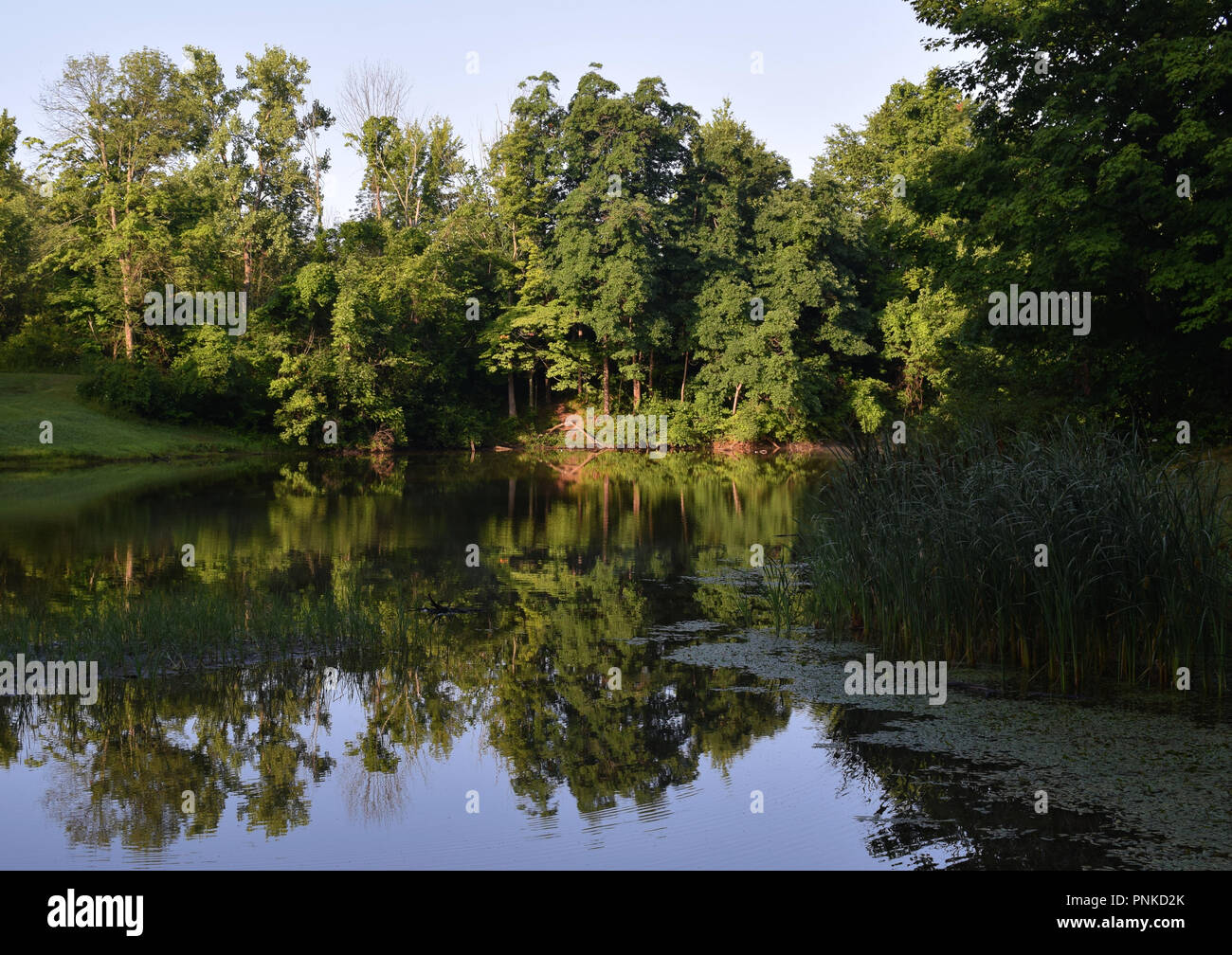 Mirror like lake hi-res stock photography and images - Alamy