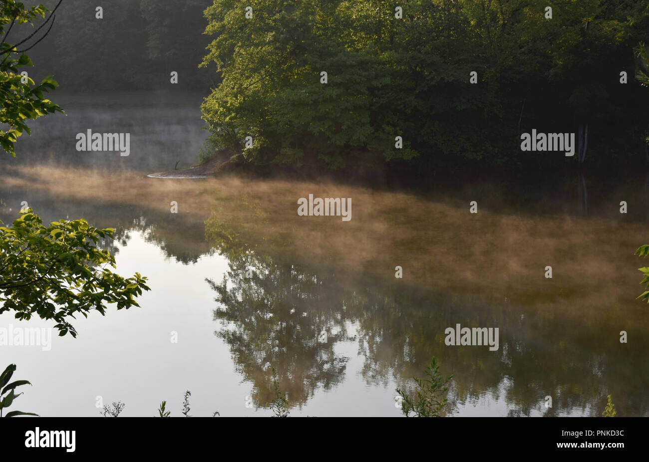 Shadow over water hi-res stock photography and images - Alamy