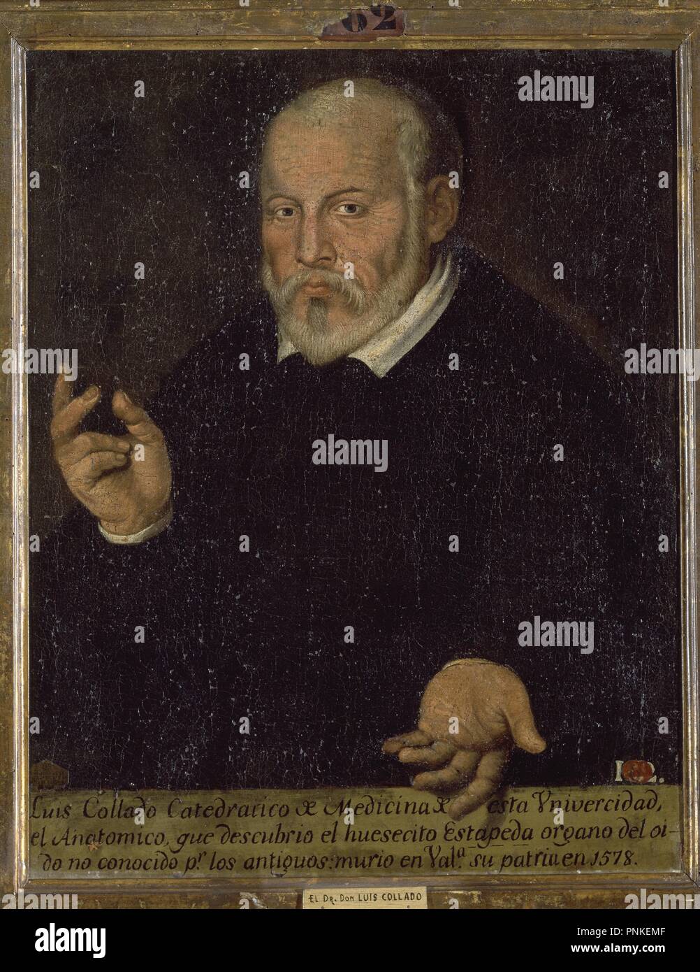 LUIS COLLADO, MEDICINE PROFESSOR (1520/1578) - PORTRAIT ATTRIBUTED TO ...