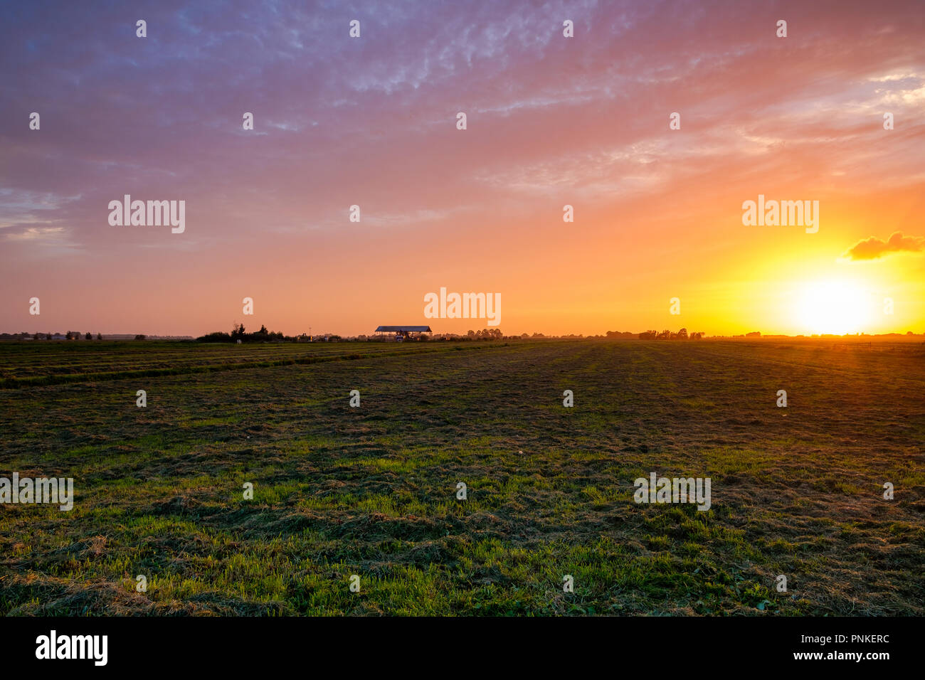 Mowed over hi-res stock photography and images - Alamy