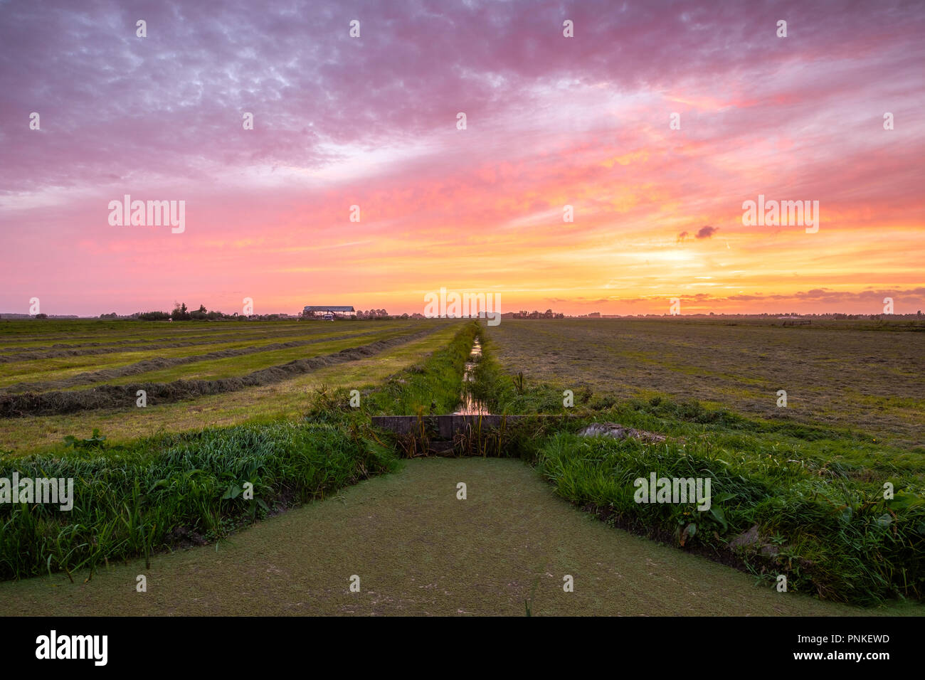 Grass ditch sunset orange country hi-res stock photography and images ...