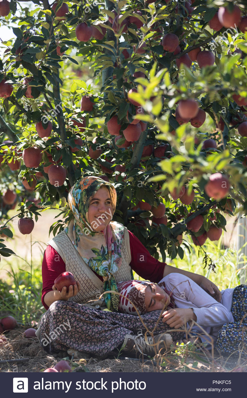 Two Women Under Apple Tree High Resolution Stock Photography and Images ...