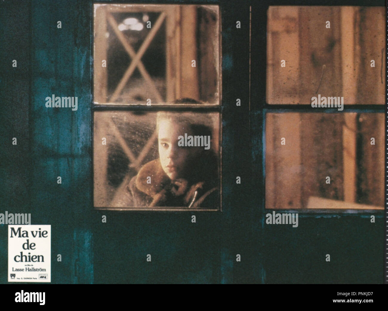 Lasse hallstrom my year as a dog hi-res stock photography and images ...