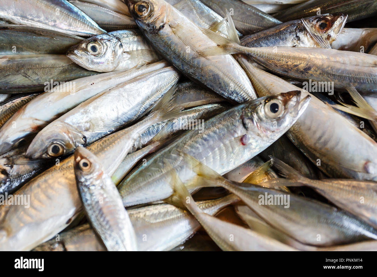 Fish on sale in the market Stock Photo - Alamy