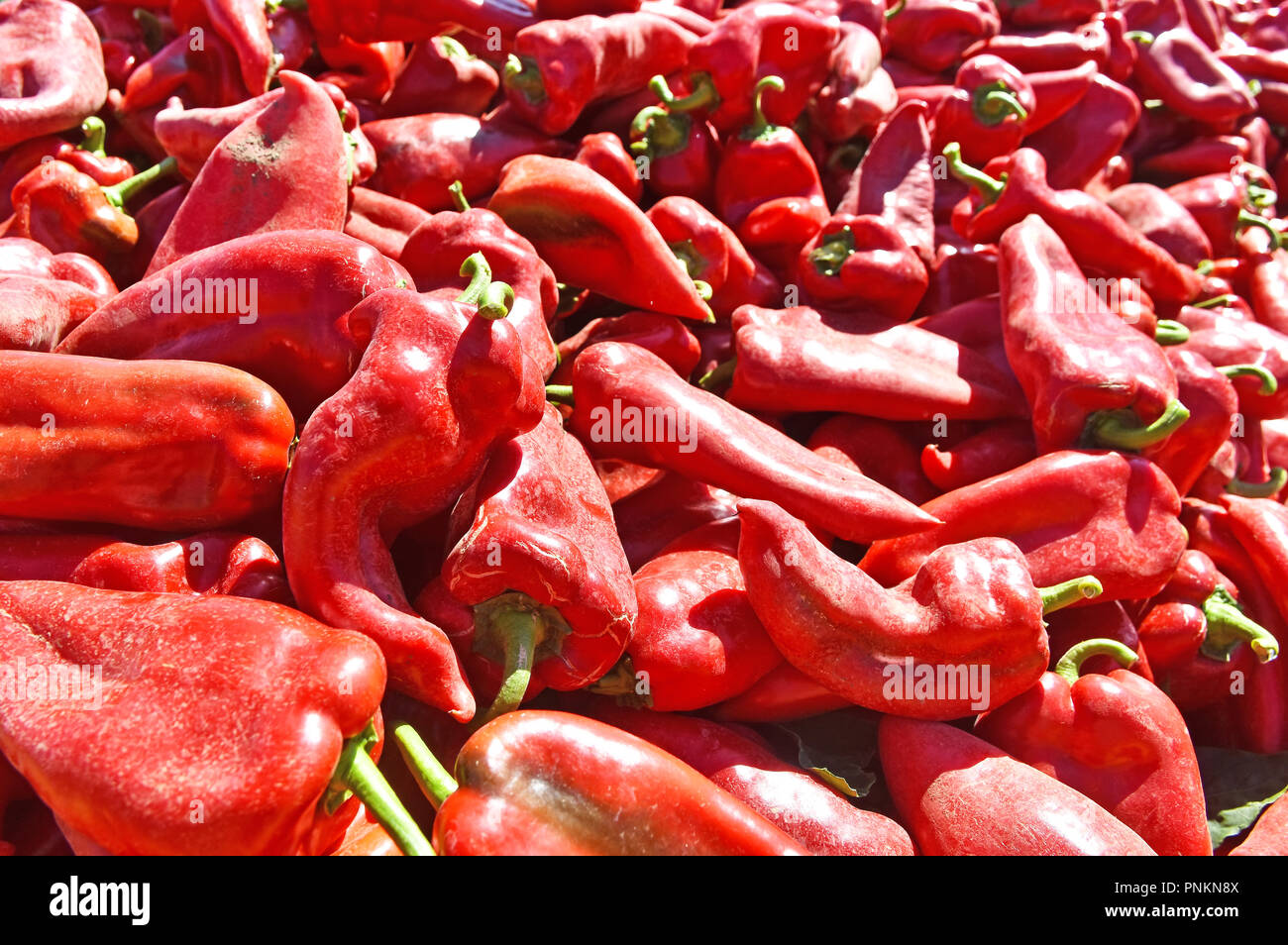 Serbia group hi-res stock photography and images - Alamy