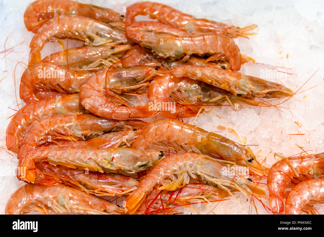 Red prawns hi-res stock photography and images - Alamy