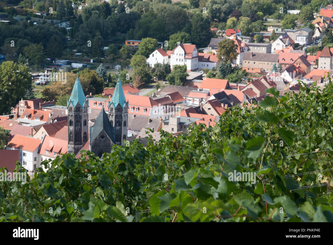 Vine Growi High Resolution Stock Photography and Images - Alamy