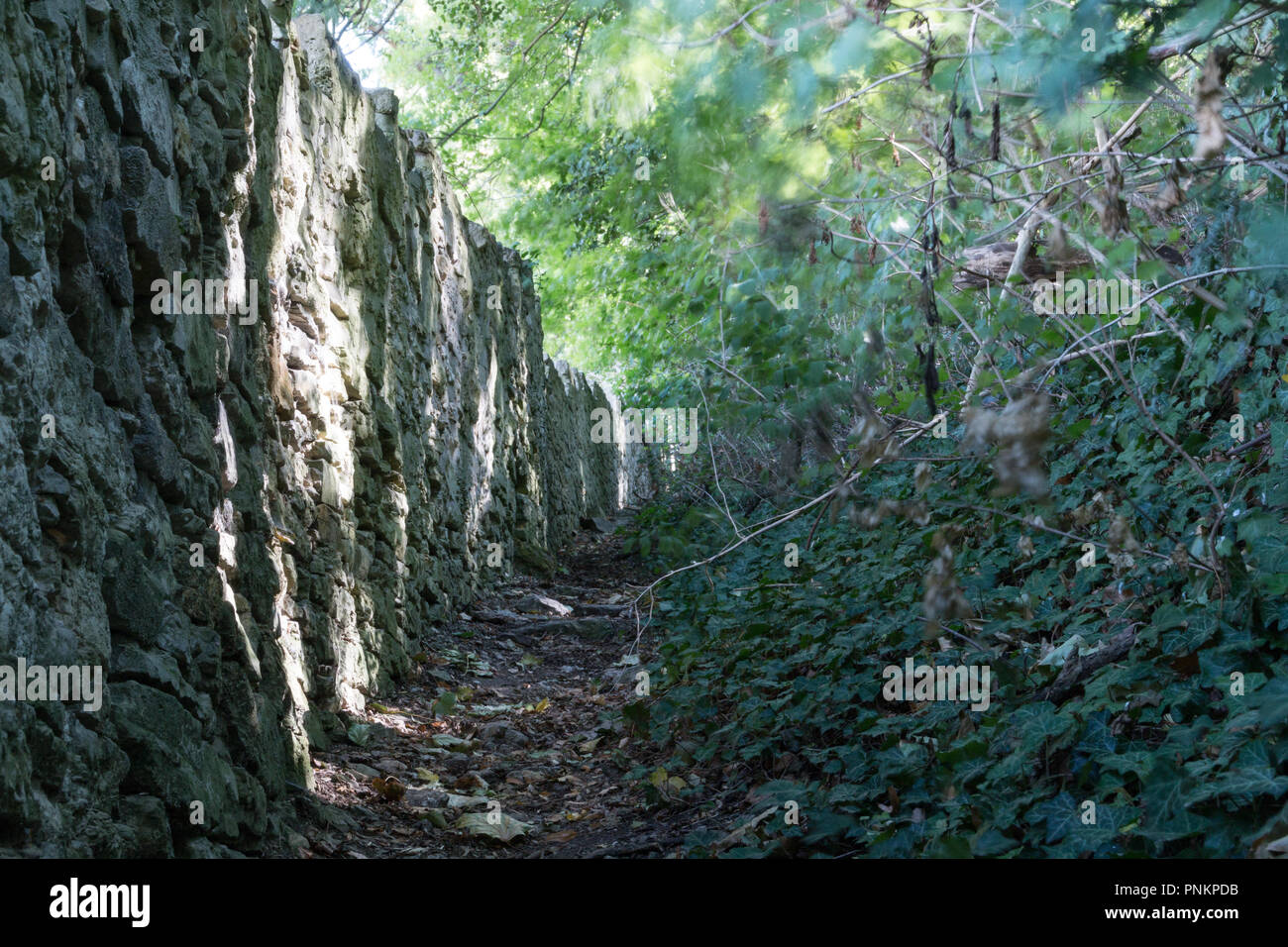 View of a medieval path with a stone wall Stock Photo - Alamy