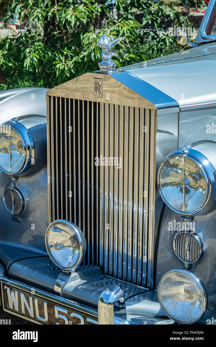 ROLLS ROYCE SILVER DAWN, 1954 front grill Stock Photo - Alamy