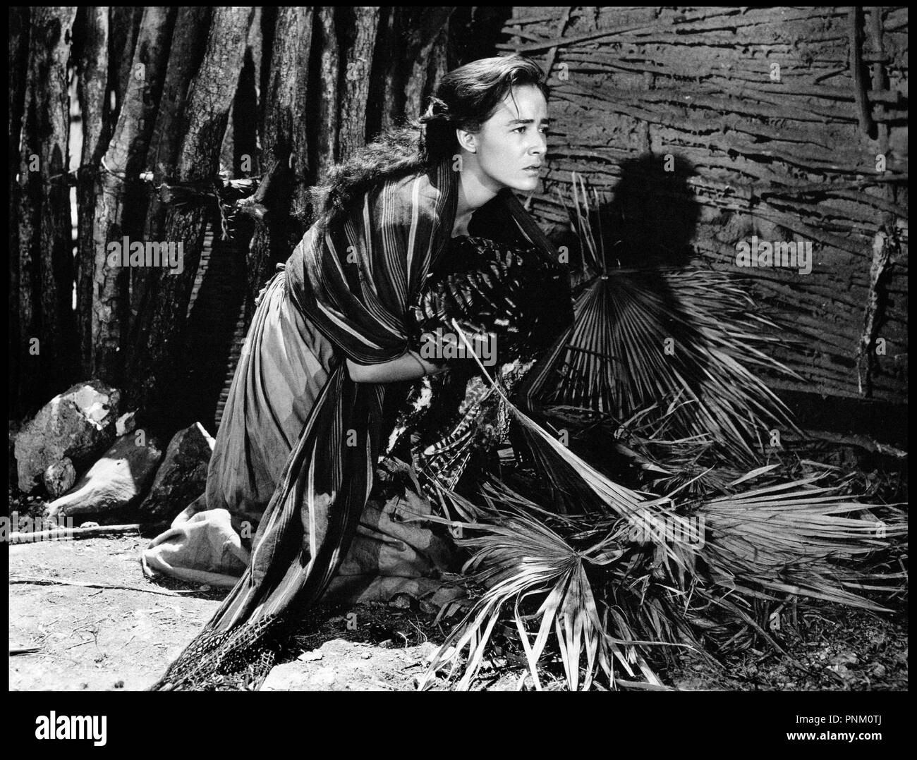 Gavaldon Stock Photos & Gavaldon Stock Images - Alamy