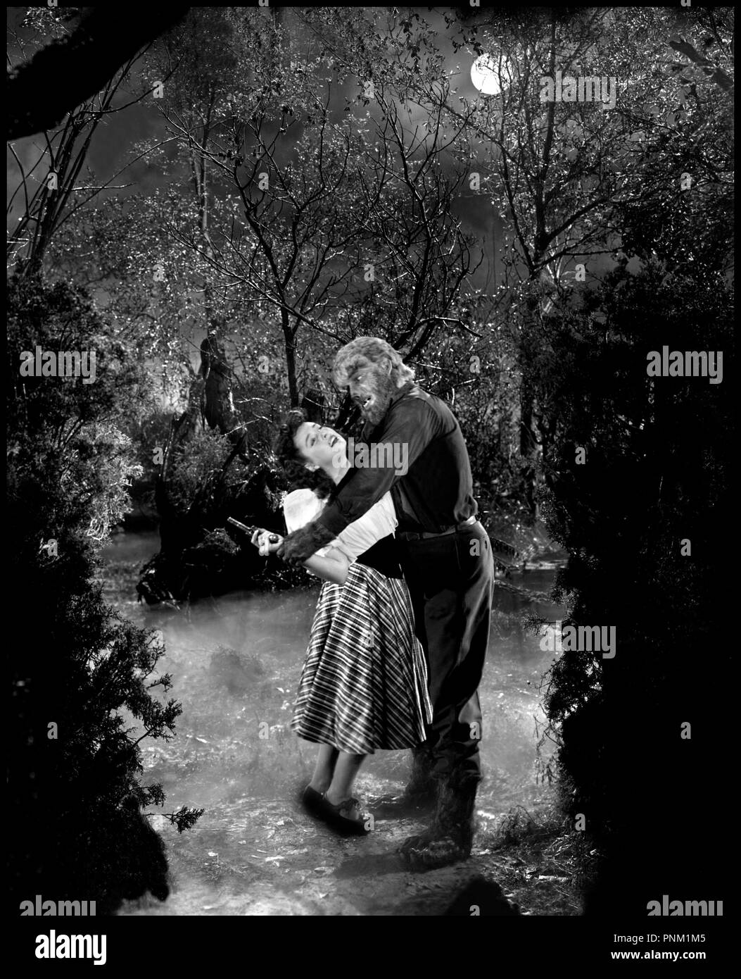 House Of Frankenstein Stock Photos & House Of Frankenstein Stock Images ...