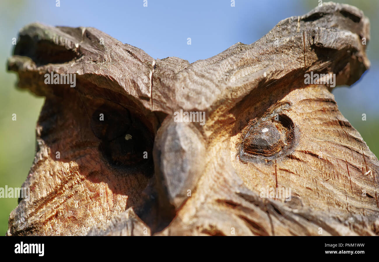 Wooden owl head Stock Photo - Alamy