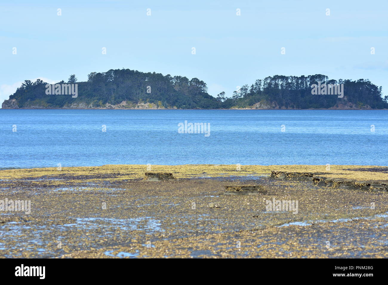 Uncovers hi-res stock photography and images - Alamy