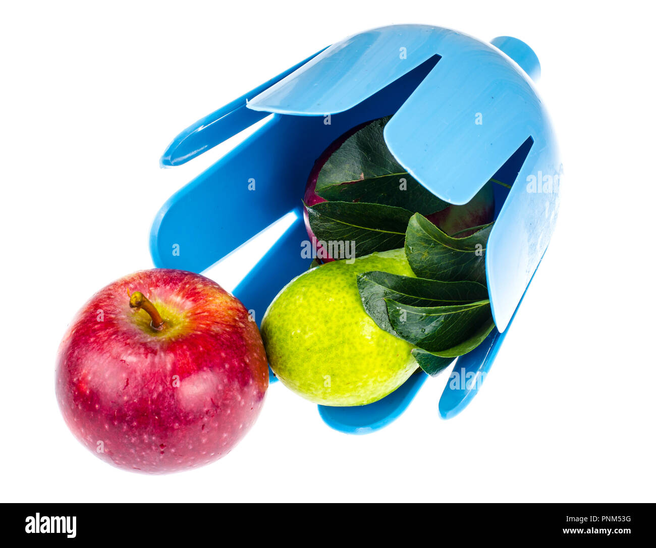 Plastic device for harvesting fruit trees. Studio Photo Stock Photo - Alamy