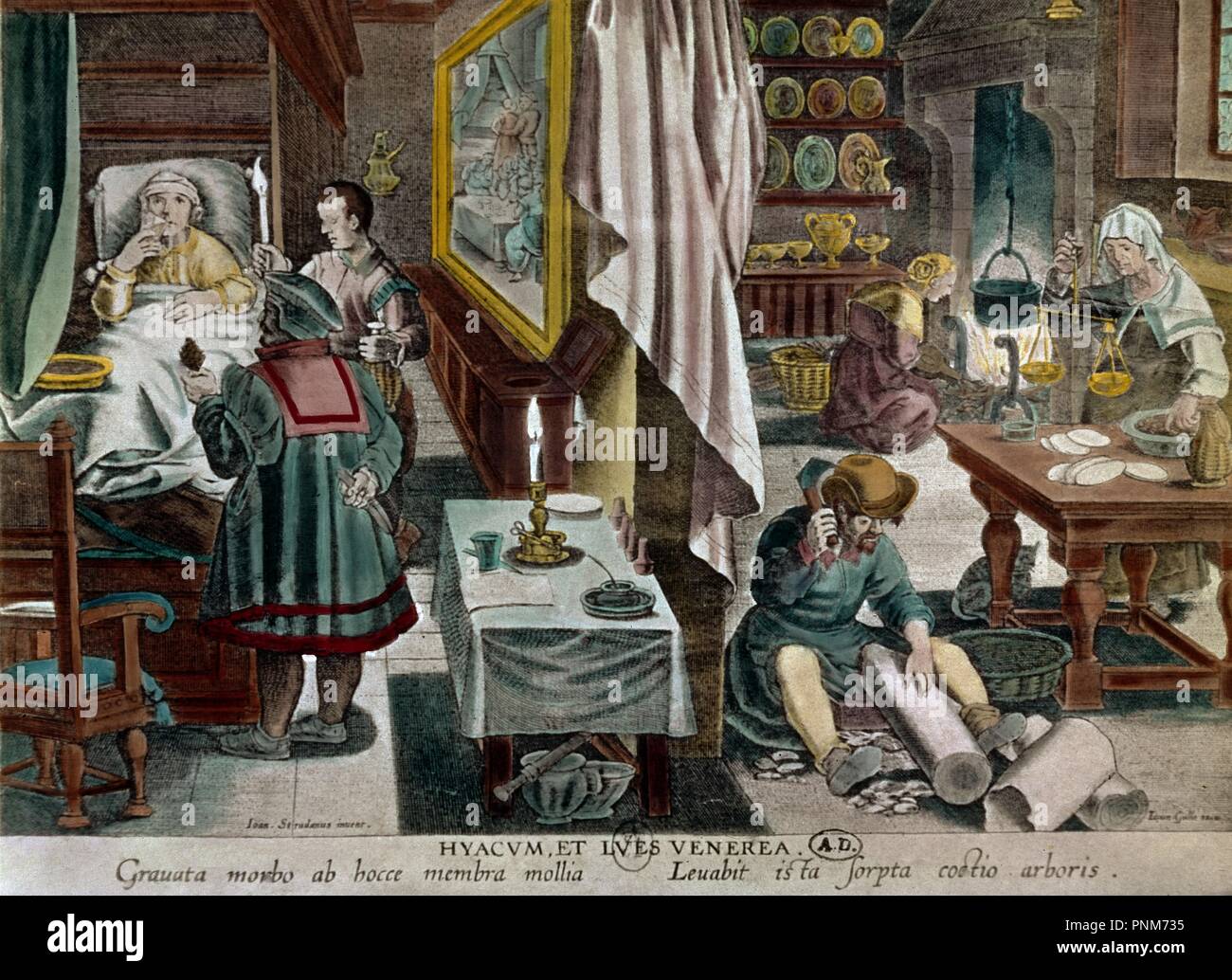 Preparation and use of guayaco for treating syphilis hi-res stock ...