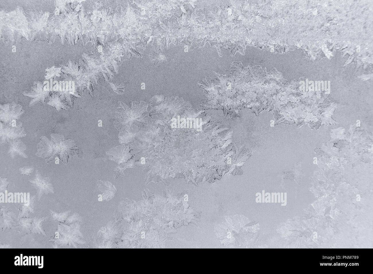 Frosty texture hi-res stock photography and images - Alamy